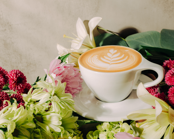 Ladder Coffee in Spokane, Washington | Specialty Coffee Roasters